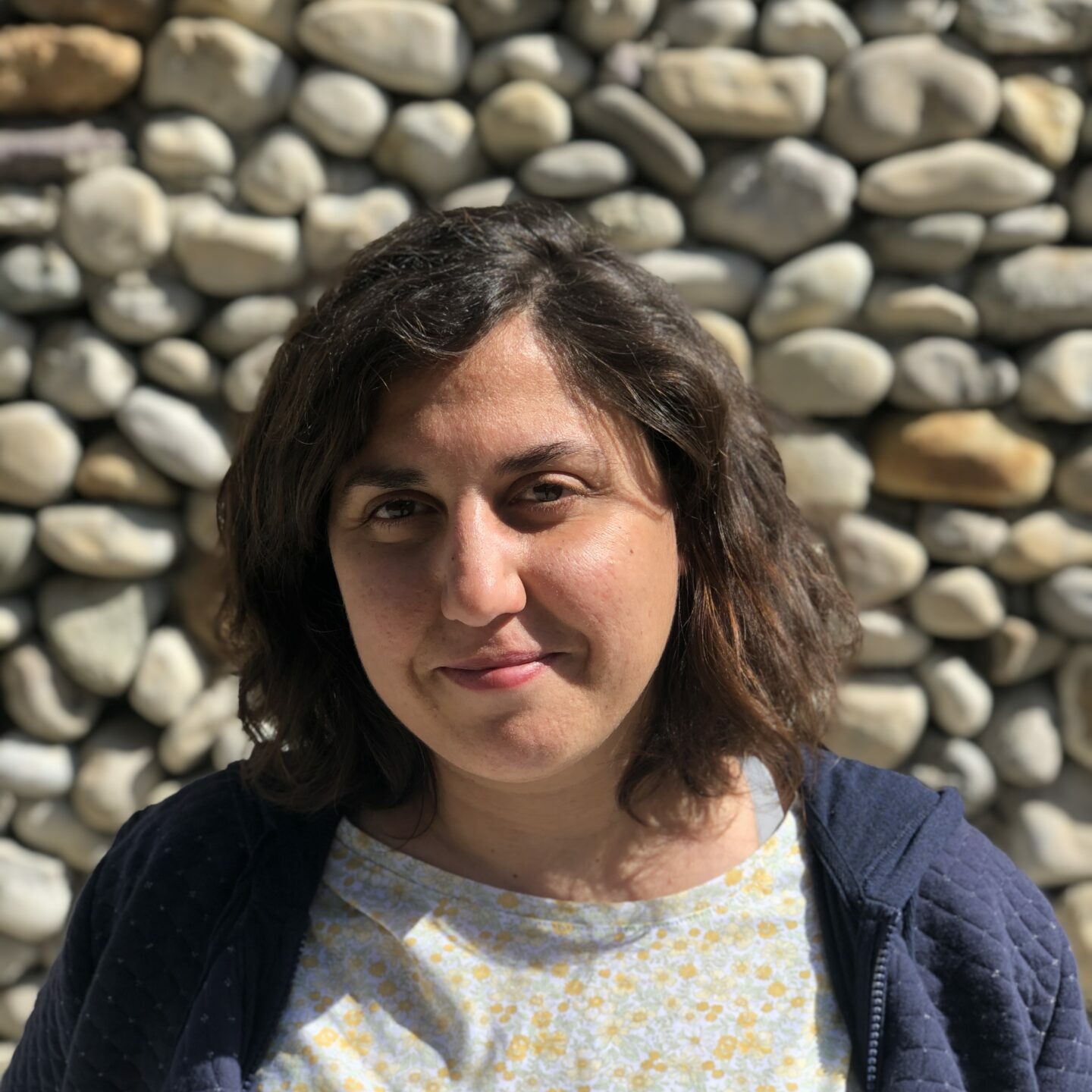 Résidence El Meya - villa arson nice