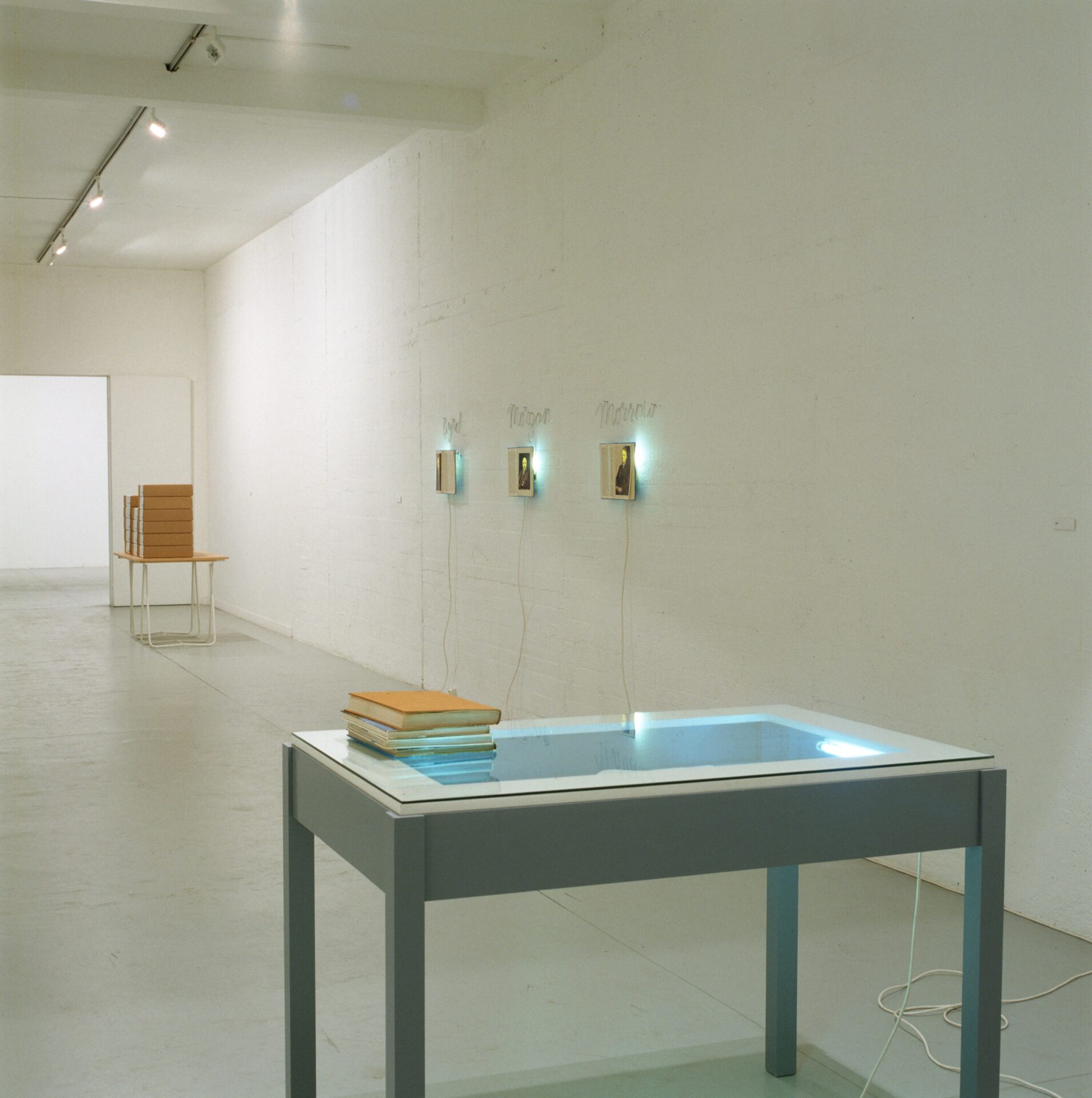 Ian Carr-Harris - Made in Nice - villa arson nice